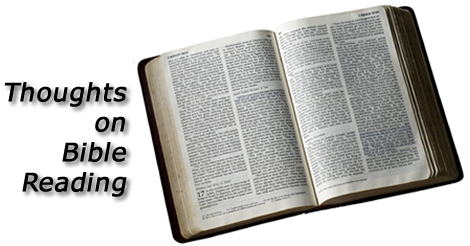 Bible Reading